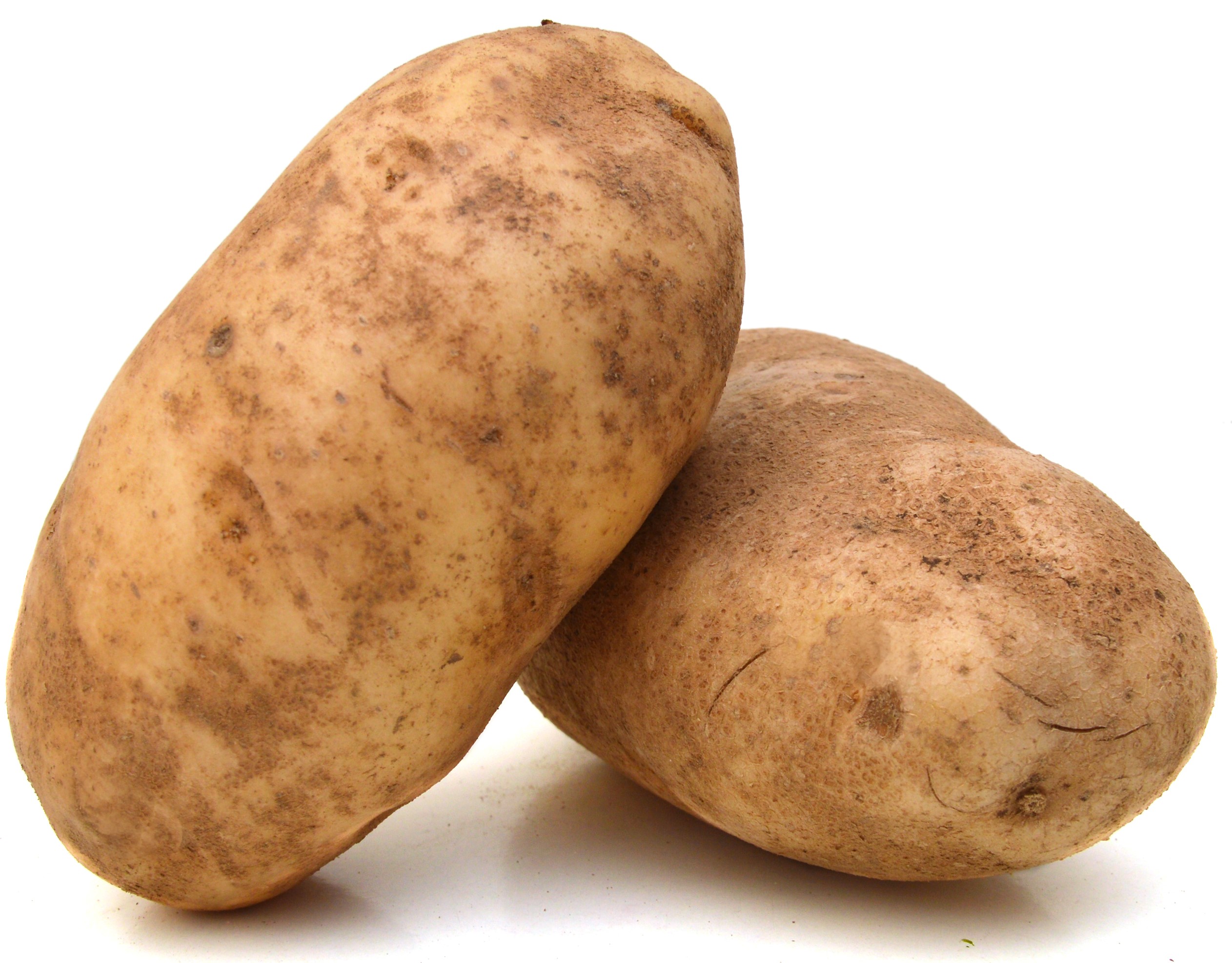 Erdäpfel mehligkochend