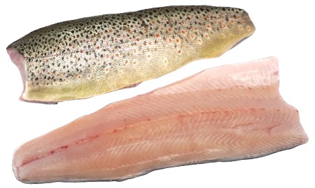 Gut Dornau Bachforellen Filet mit Haut