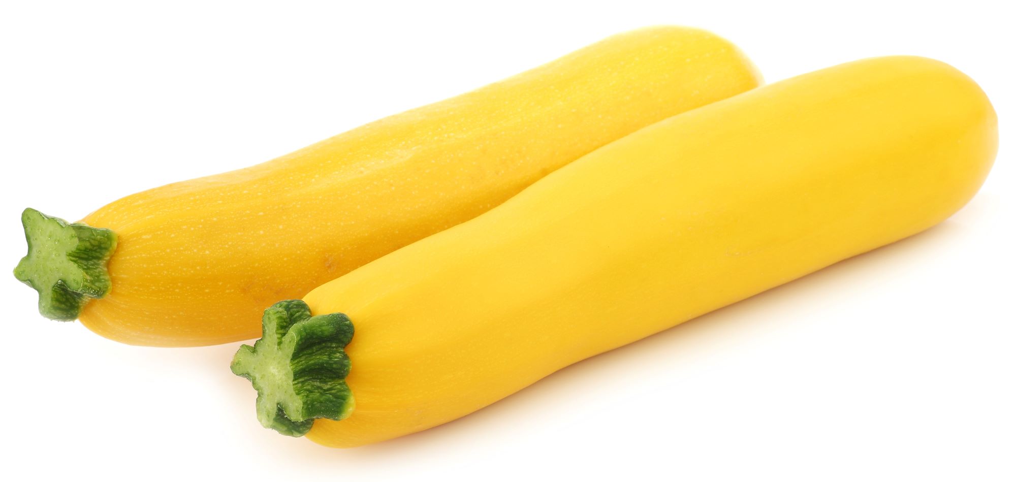 Zucchini gelb, lose