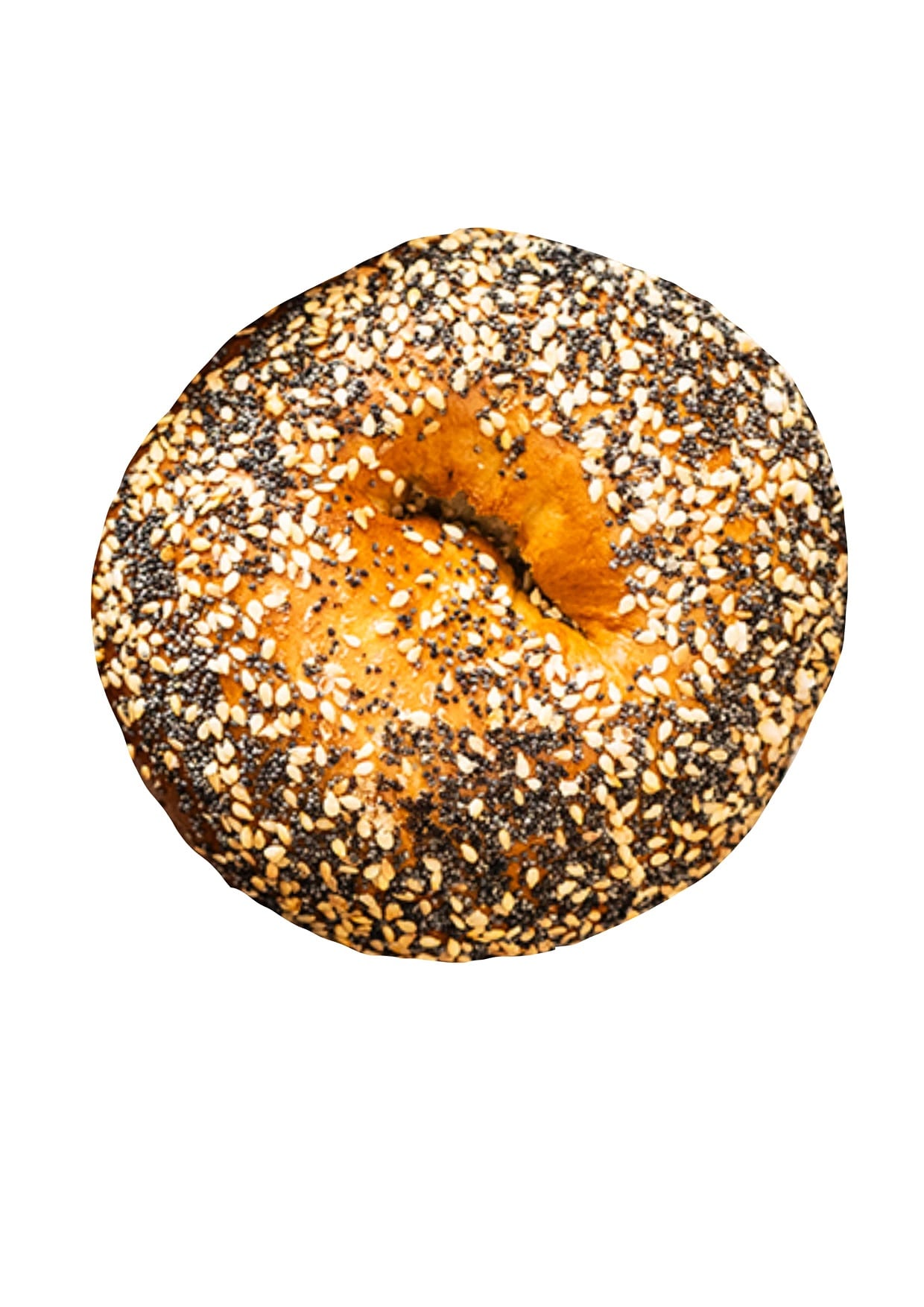 Budapest Bagel Vienna All Everything Bagel