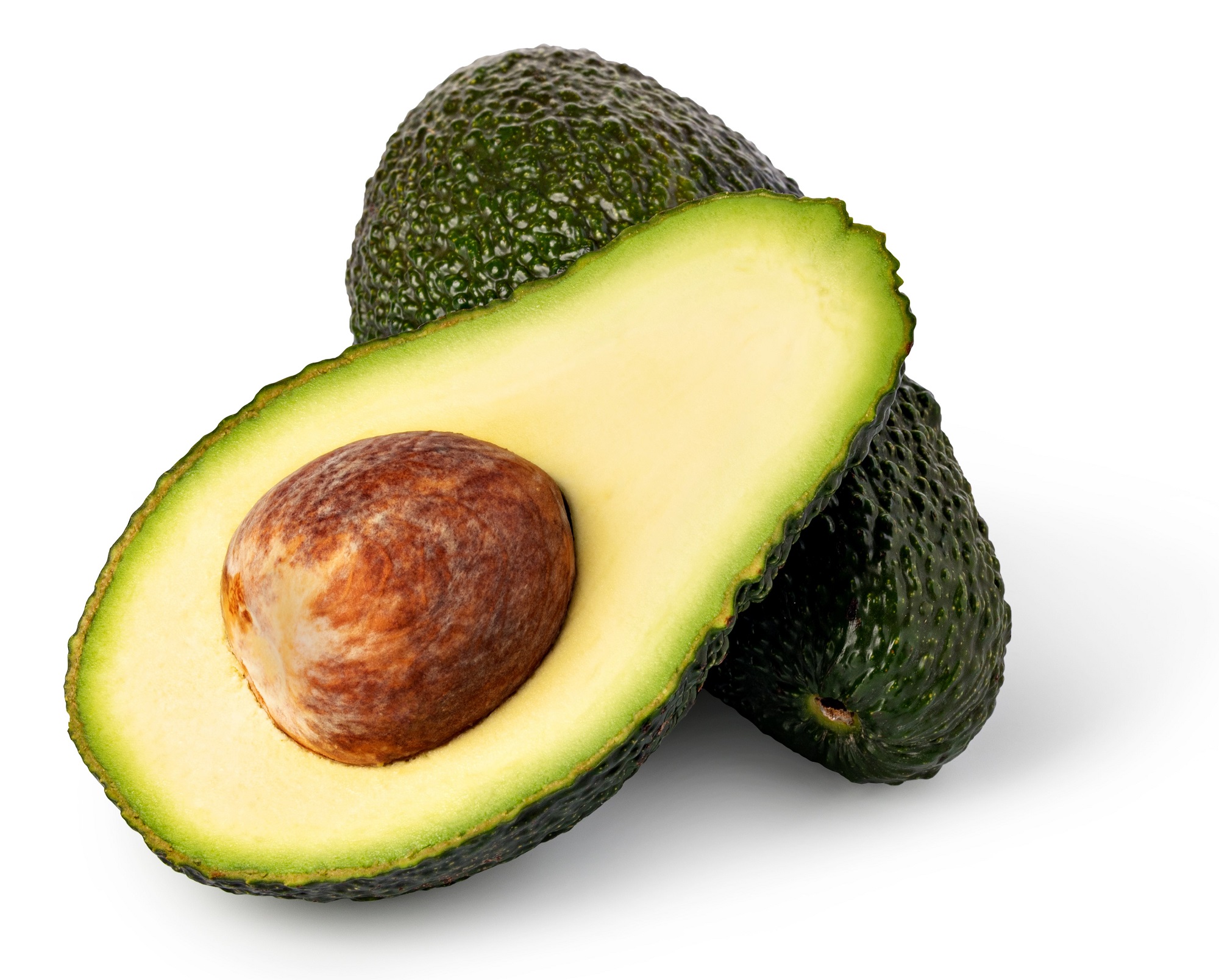 BIO Avocado