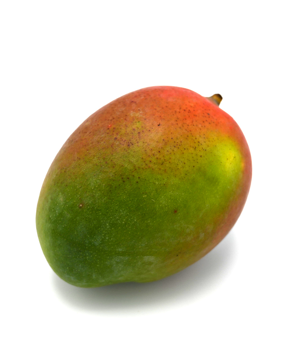 Mango Kent/Keitt